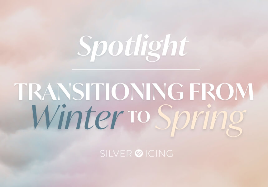 Silver Icing Clothing